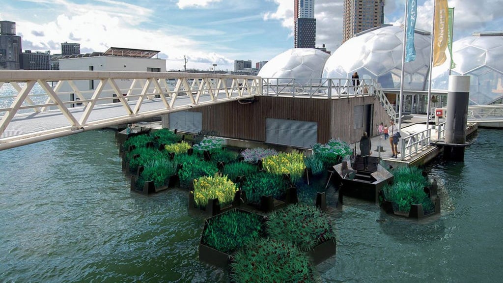 » Floating Garden in Rotterdam Rijinhaven